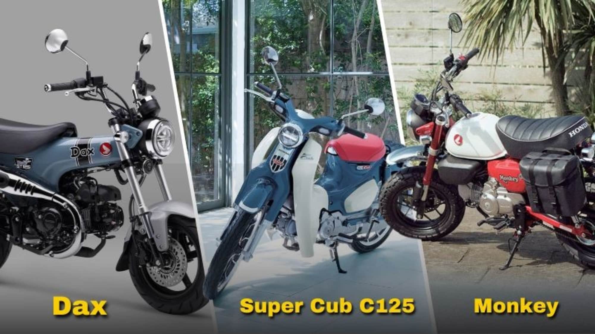 Honda Dax, Monkey e Super Cub C125: nuovi aggiornamenti nel 2025 ...